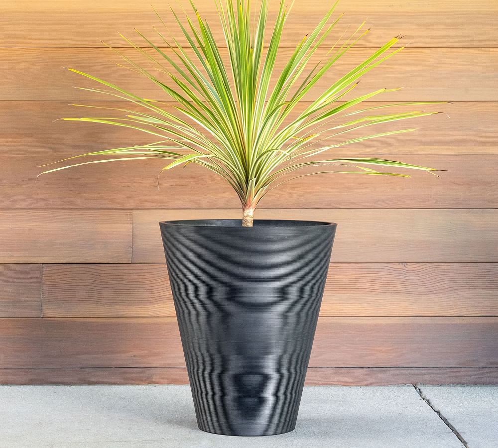 Hevea Tapered Cylinder Outdoor Planters | Pottery Barn