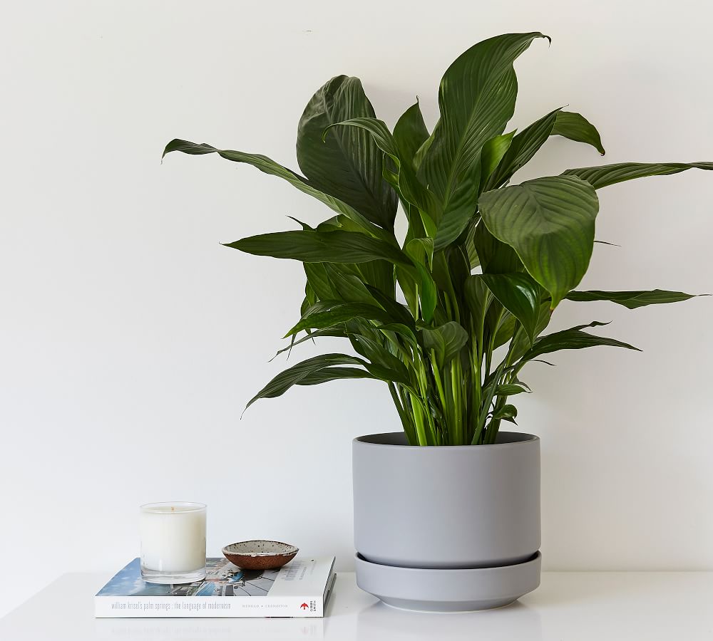 Modern Gray Ceramic Planter | Pottery Barn