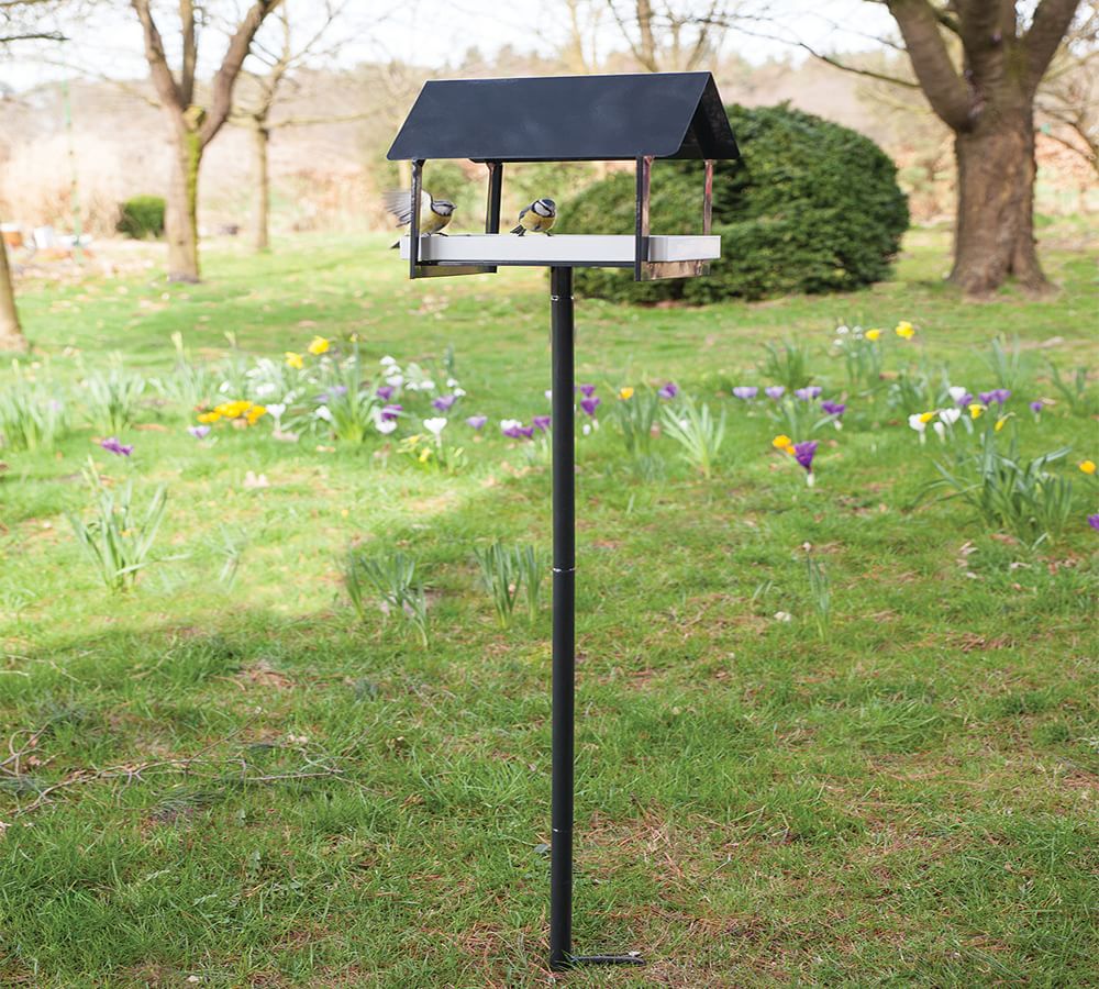 Steel Standing Bird House | Pottery Barn