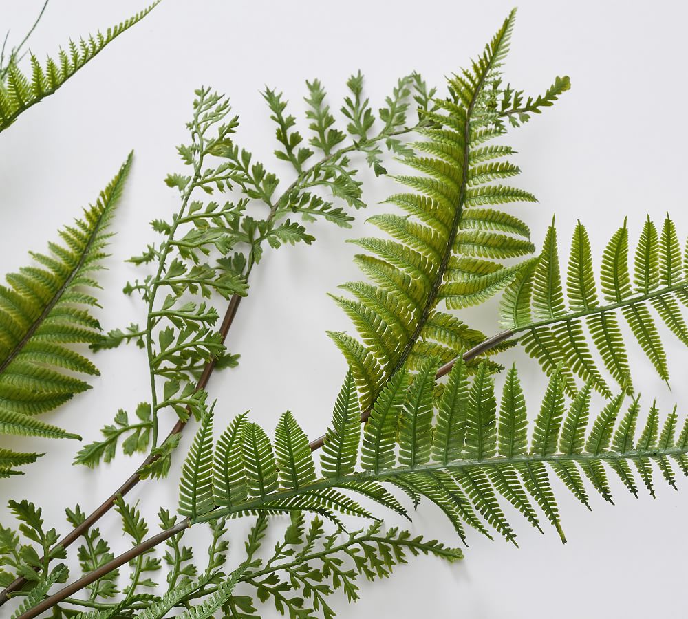 Faux Fern Bundle | Pottery Barn