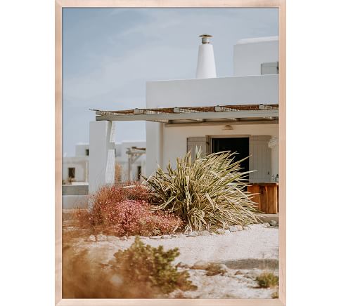 Dried Floral Framed Print By Annie Spratt | Pottery Barn