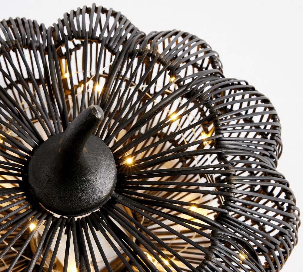 Lit Black Wire Pumpkins | Pottery Barn