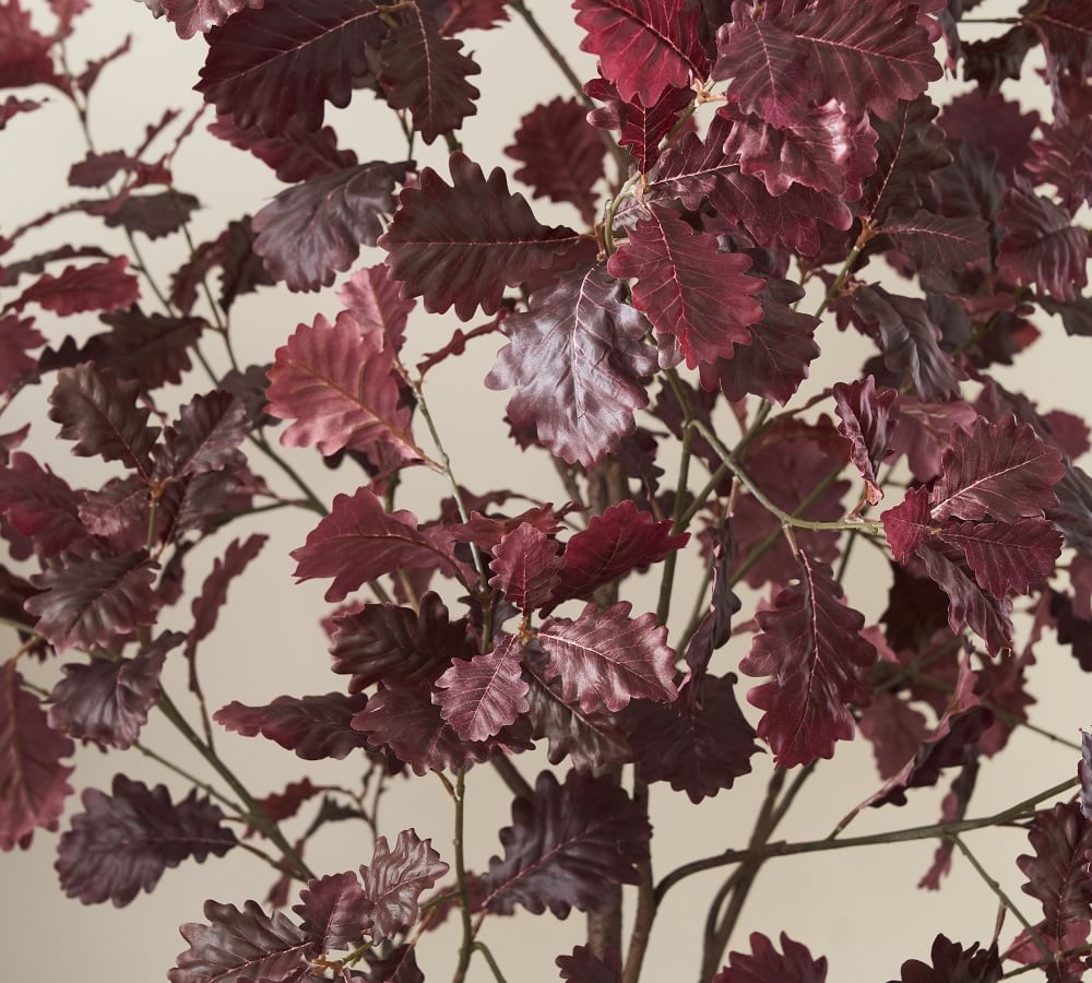 Faux Burgundy Oak Tree - 7' | Pottery Barn