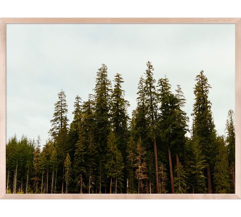 Sherrard Point By Eric Muhr | Pottery Barn