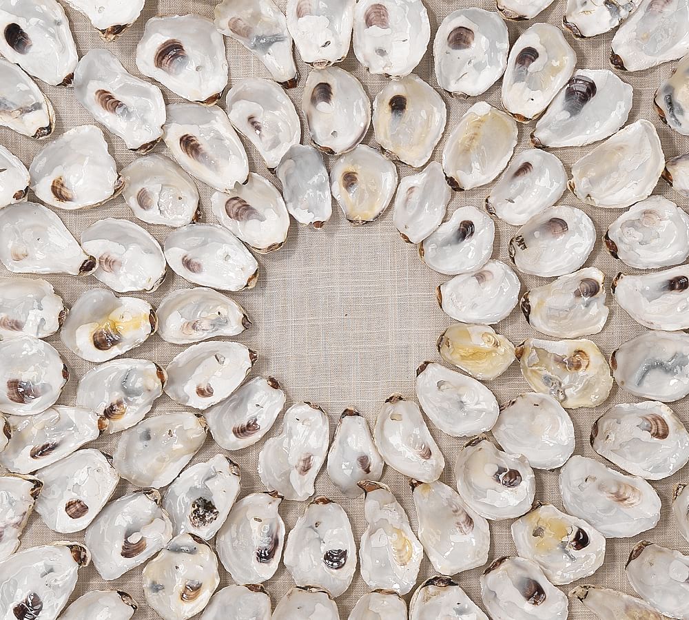 Oyster Shell Shadow Box Wall Art | Pottery Barn