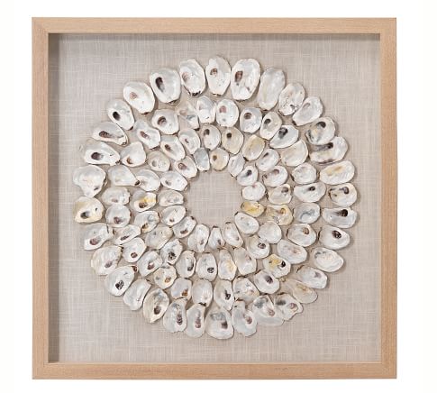 Trochidae Shell Shadow Box Wall Art | Pottery Barn