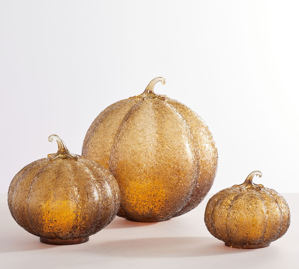 Textured Glass Amber Pumpkin Cloche | Pottery Barn