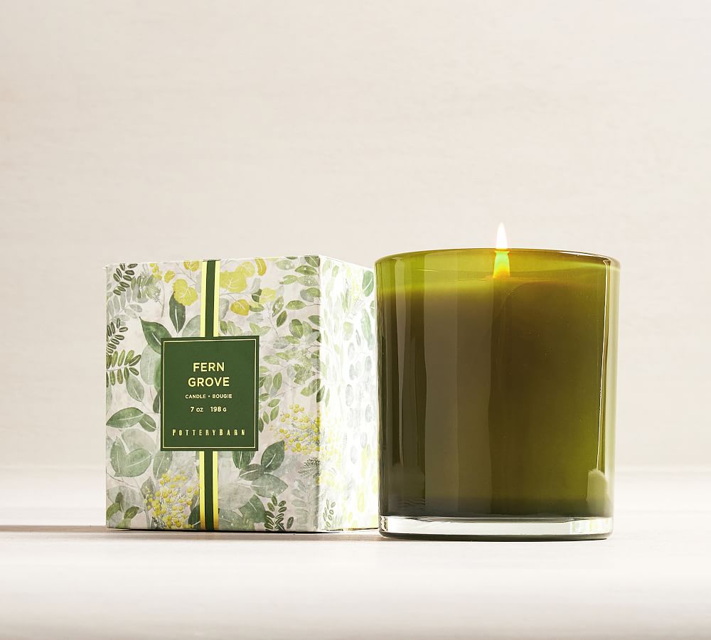 Fern Grove Scent Collection | Pottery Barn