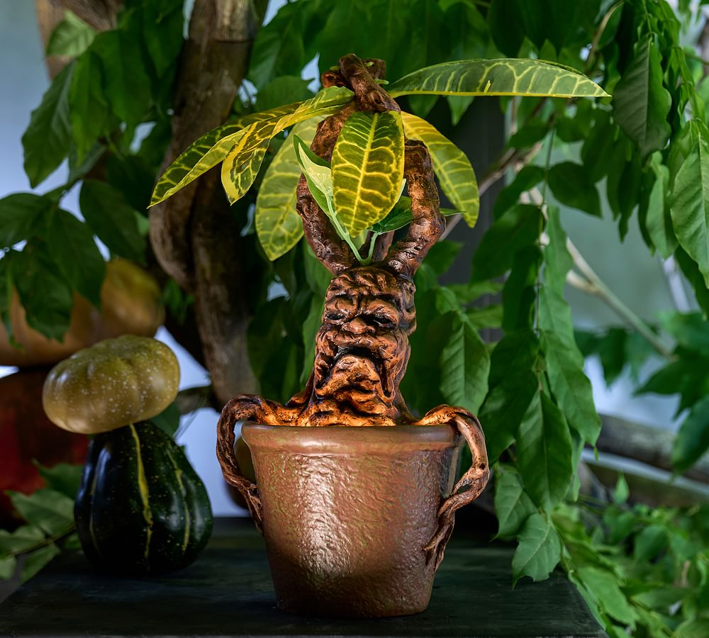Harry Potter™ Lit Mandrake Root | Pottery Barn