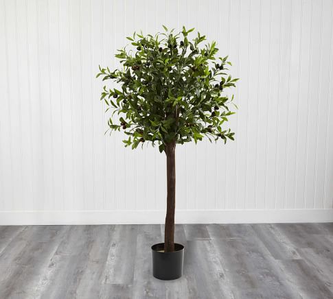 Faux Shady Lady Olive Tree - 9ft. | Pottery Barn