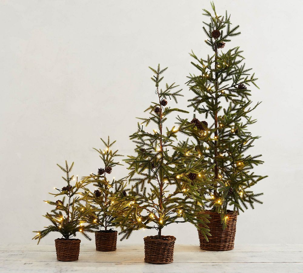 Pre-Lit Faux Pine Trees in Basket | Pottery Barn