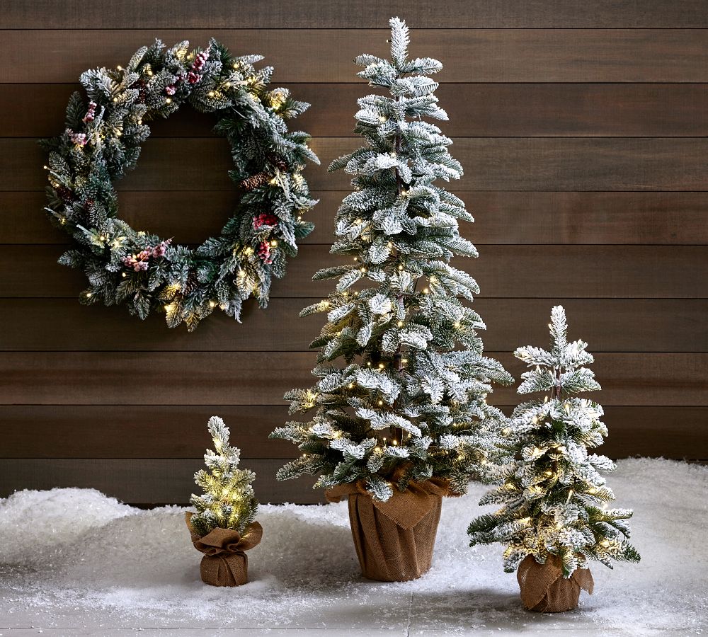Pre-Lit Frosted Faux Pine Trees | Pottery Barn