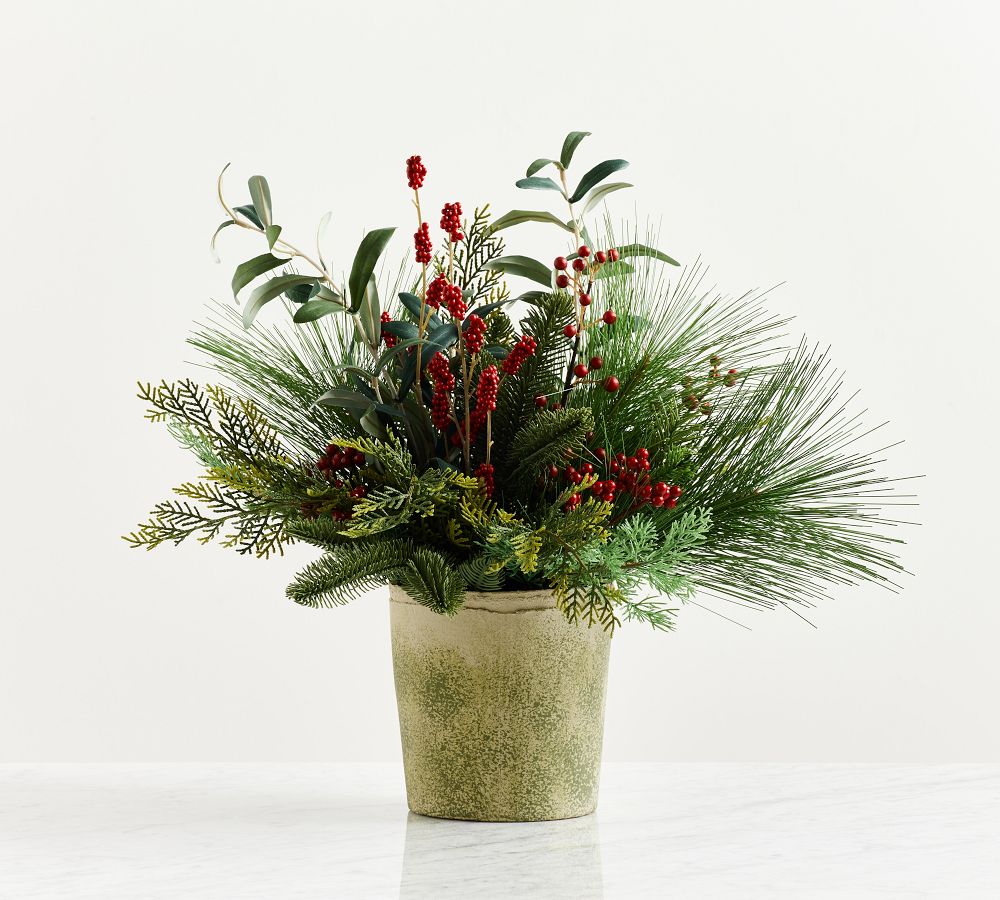 Faux Pine & Cedar Composed Arrangement | Pottery Barn