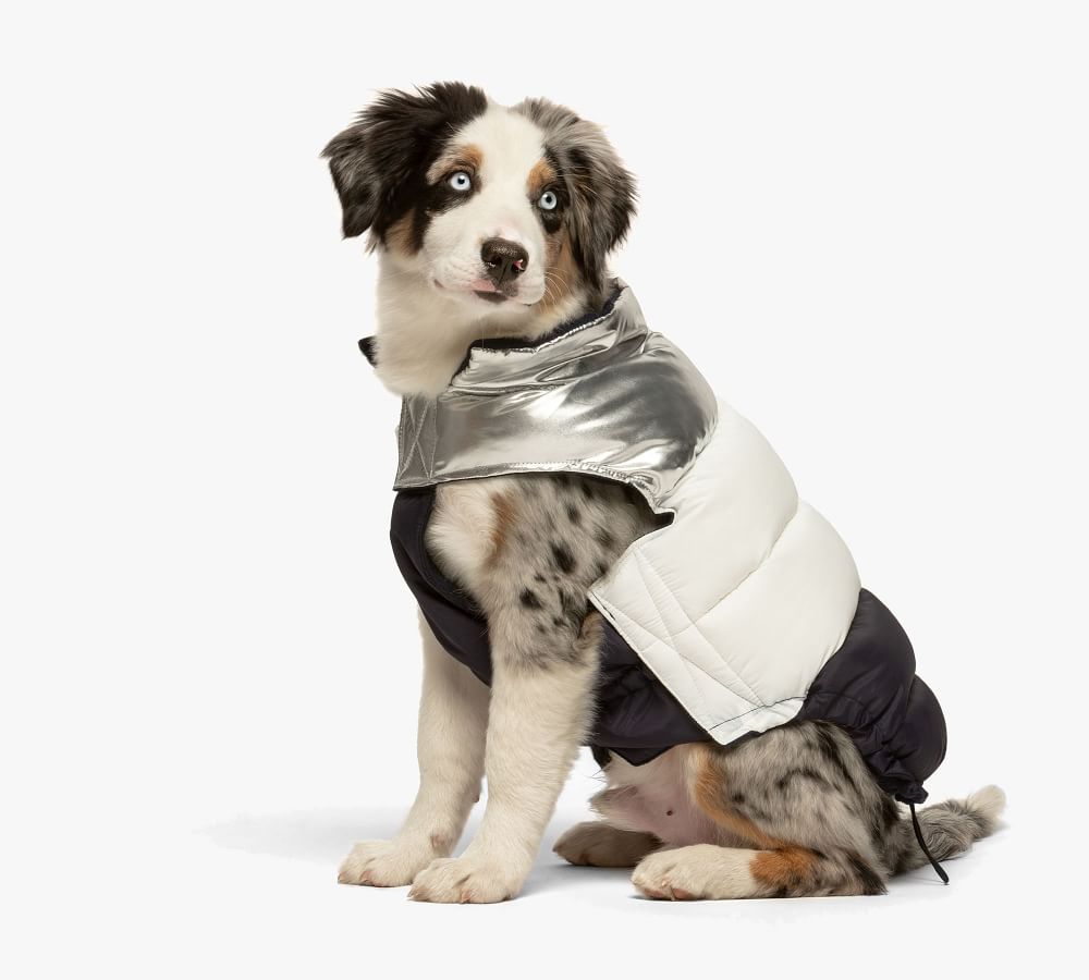 Color Block Pet Puffer | Pottery Barn