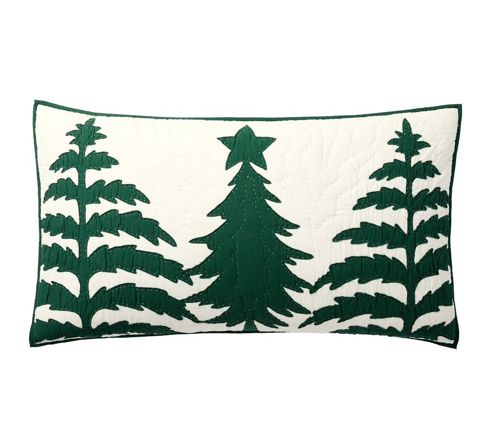 Eve Applique Quilted Sham | Pottery Barn