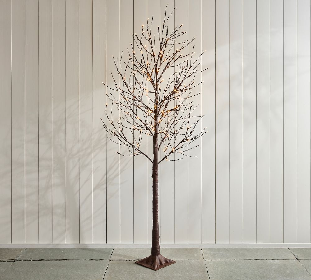 Willow Twinkling Twig Trees | Pottery Barn