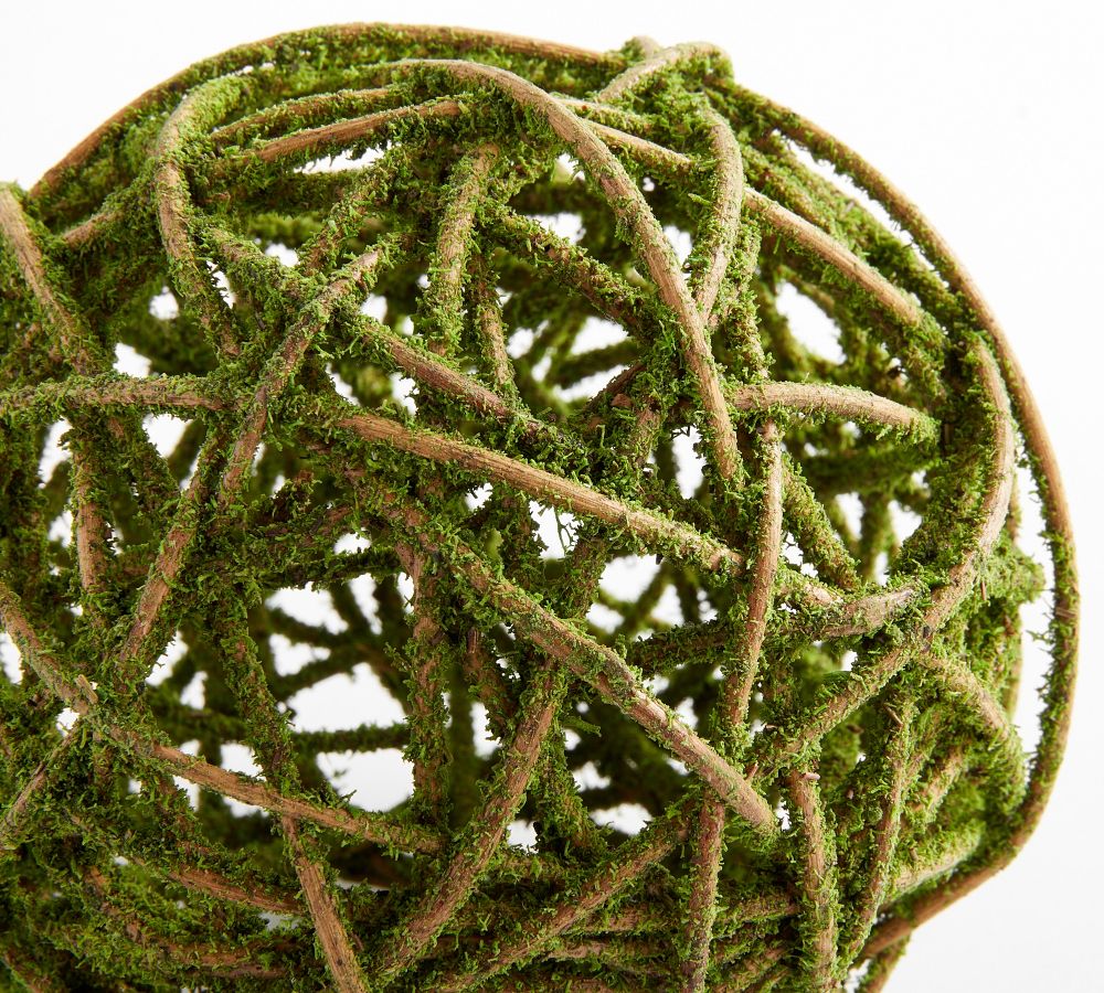 Faux Moss Coated Curly Willow Spheres - Set of 3 | Pottery Barn
