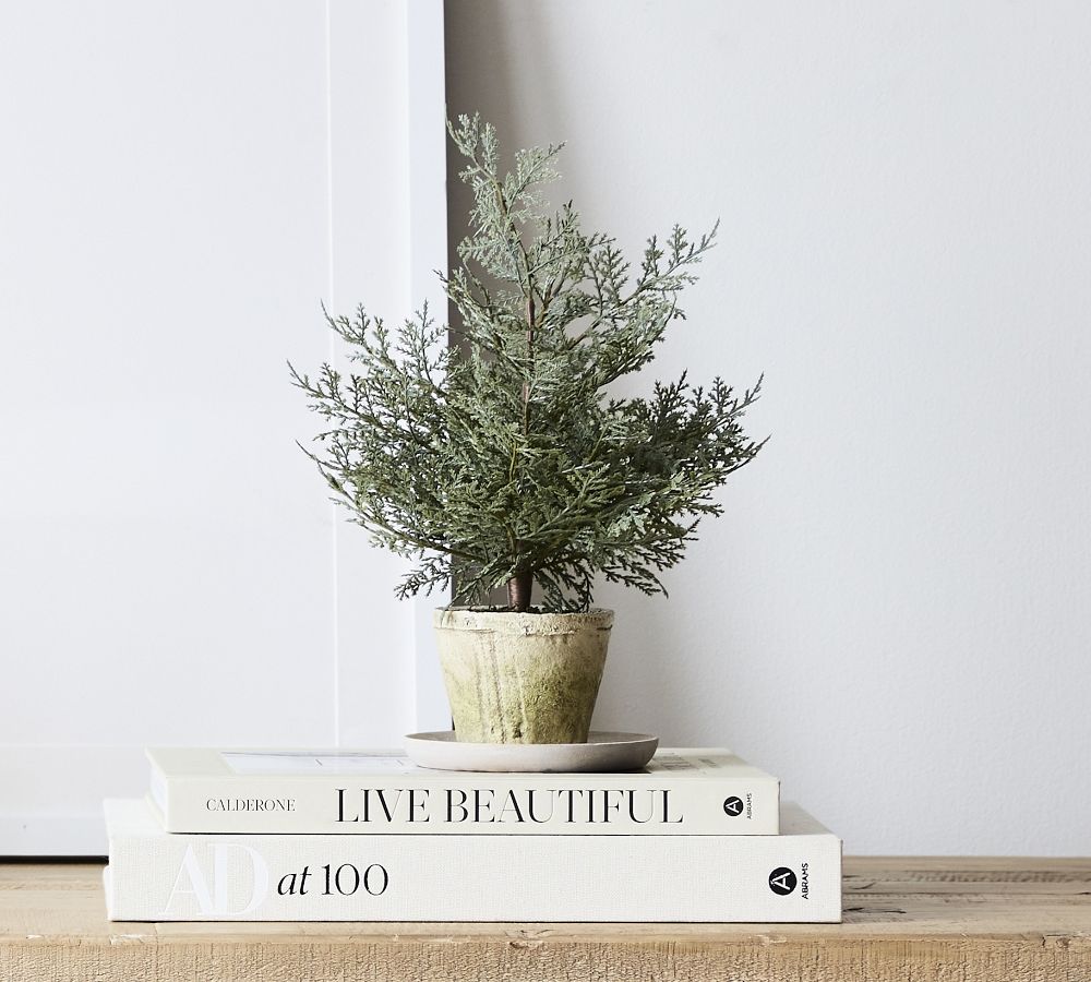 Pre-Lit Faux Potted Cedar Trees | Pottery Barn