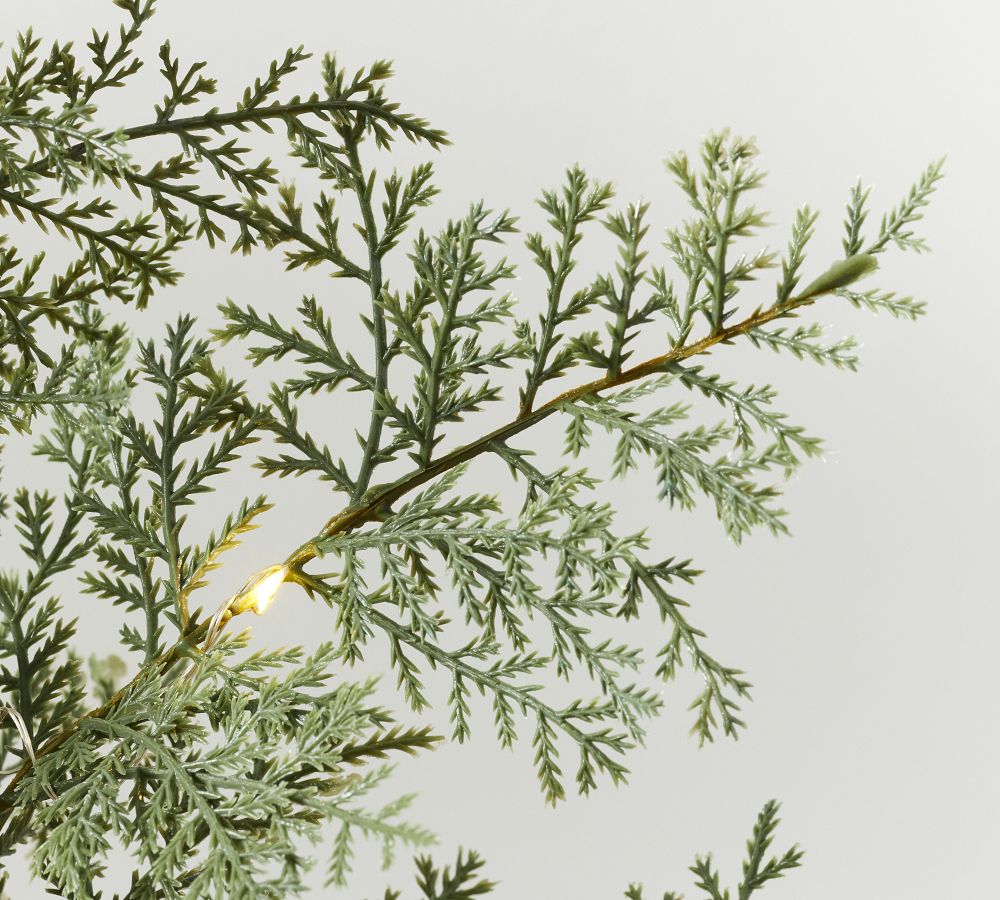 Pre-Lit Faux Potted Cedar Trees | Pottery Barn