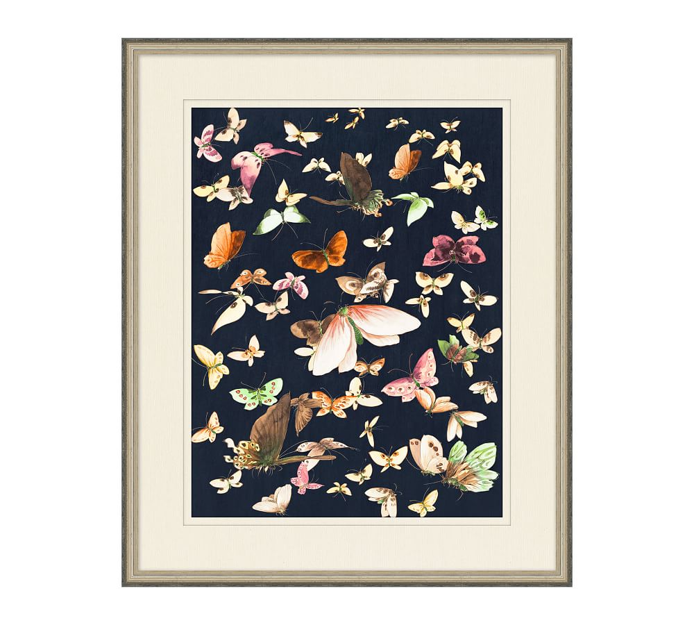 Butterfly Collection Framed Wall Art | Animal Art | Pottery Barn
