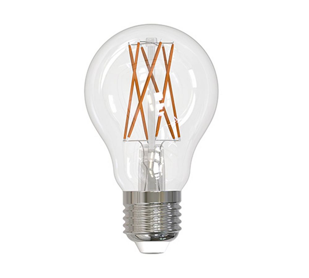 A19 Filament LED Bulb - Pack of 2 | Pottery Barn