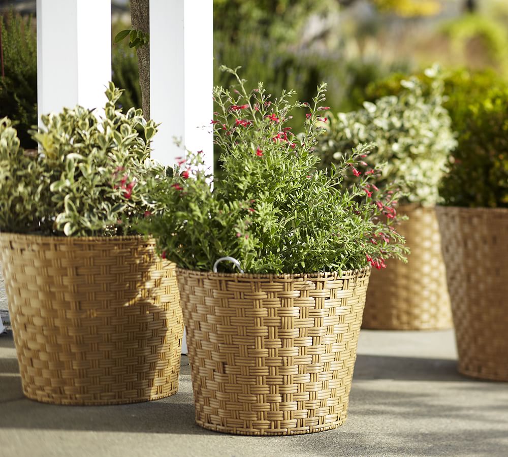 Glenwillow All-Weather Wicker Planters | Pottery Barn