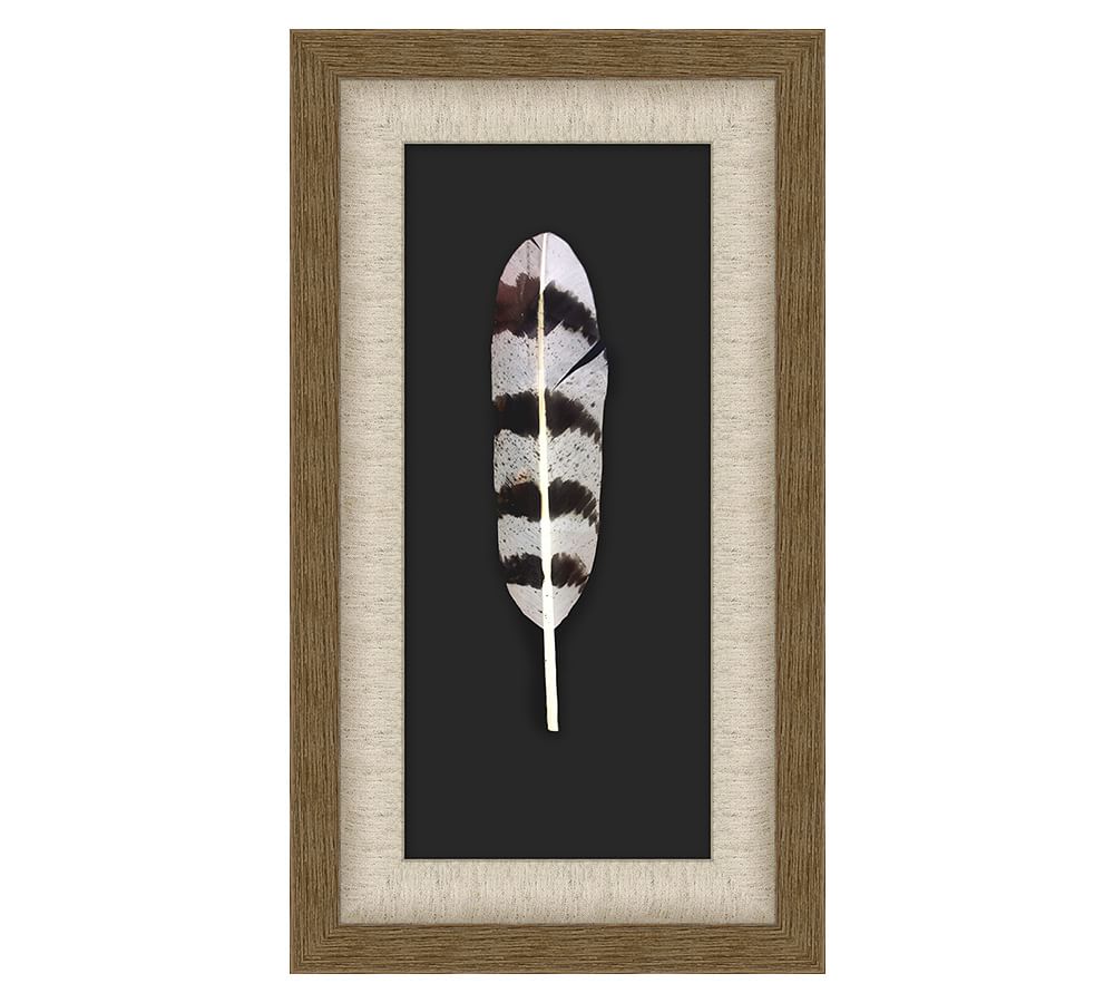 Snow Owl Feather Shadow Box | Pottery Barn