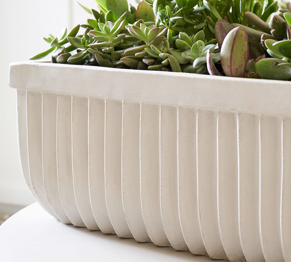 Concrete Fluted Planters | Pottery Barn