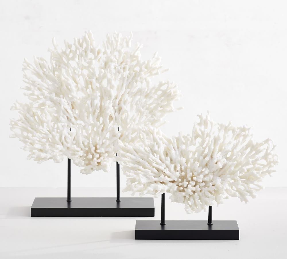 Faux Coral on Black Stand | Pottery Barn