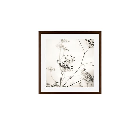 Wall Decorations | Pottery Barn