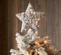 Light Up Snowy Star Handcrafted Rattan Tree Topper | Pottery Barn