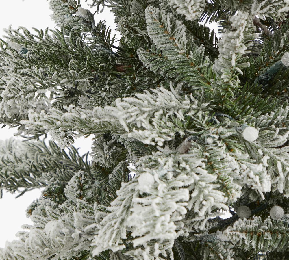 Pre-Lit Slim Flocked Nova Scotia Spruce Faux Christmas Tree | Pottery Barn