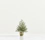 Pre-Lit Faux Potted Cedar Trees | Pottery Barn
