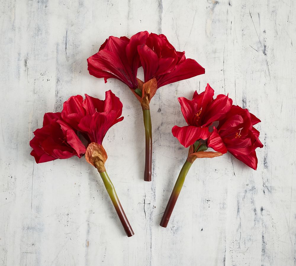 Faux Amaryllis Bouquets - Red | Pottery Barn
