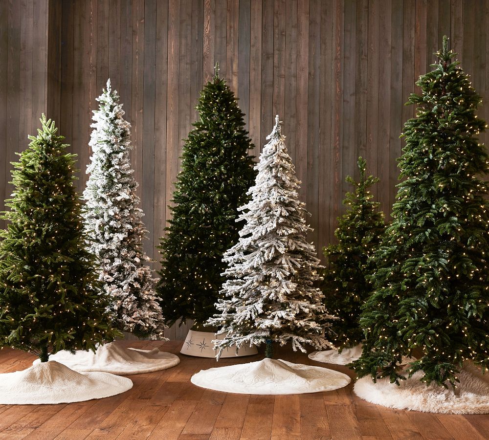 Starburst Handcrafted Metal Tree Collar | Pottery Barn