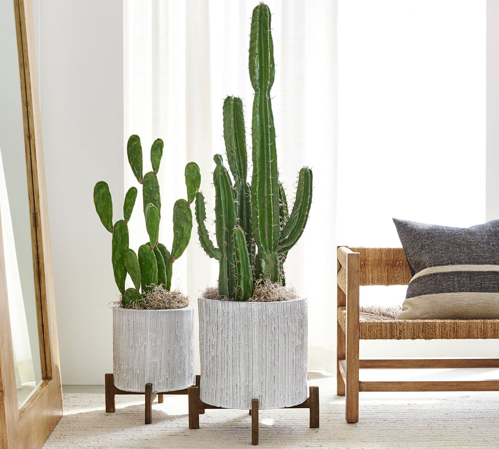 Faux Potted Saguaro Cactus | Pottery Barn