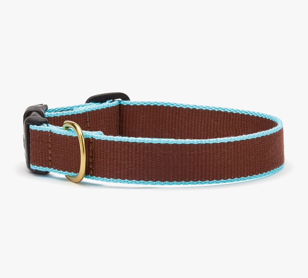Two-Tone Collar with 6' Leash | Pottery Barn