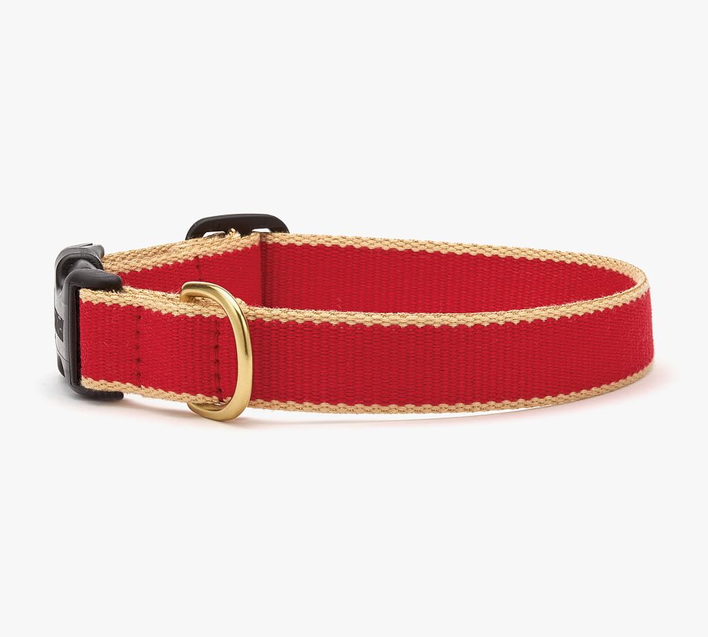 Two-Tone Collar with 6' Leash | Pottery Barn