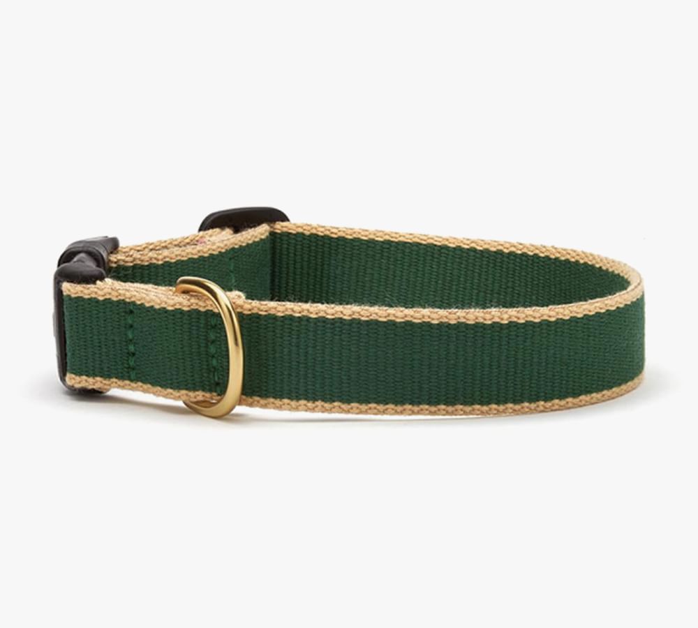 Two-Tone Collar with 6' Leash | Pottery Barn