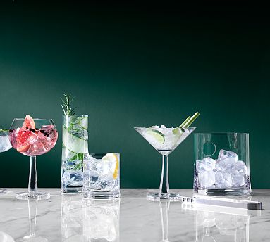 Gin Cocktail Glass and Ice Bucket Set | Pottery Barn