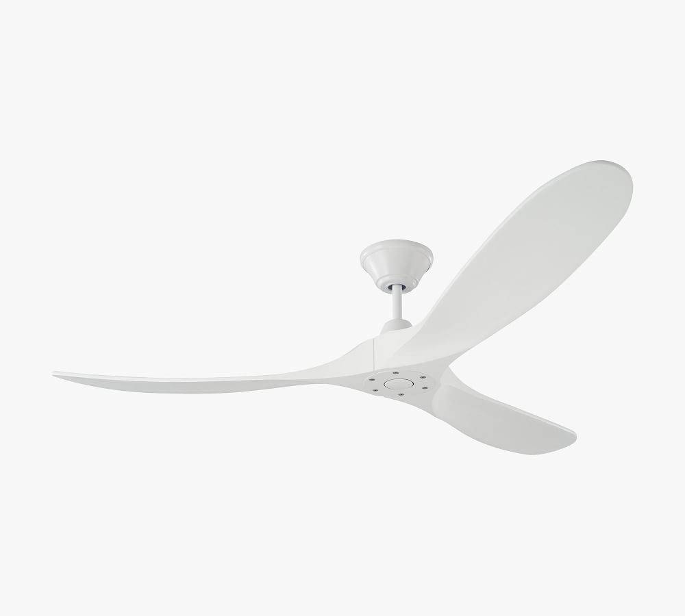 60" Rayanne Indoor/Outdoor Ceiling Fan | Pottery Barn