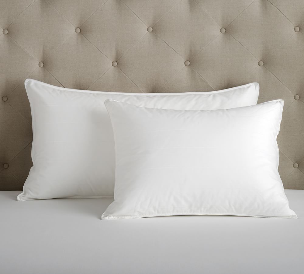Luxury 700FP European White Goose Down Pillow | Pottery Barn