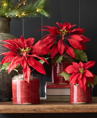 Holiday Decorations & Christmas Decorations | Pottery Barn