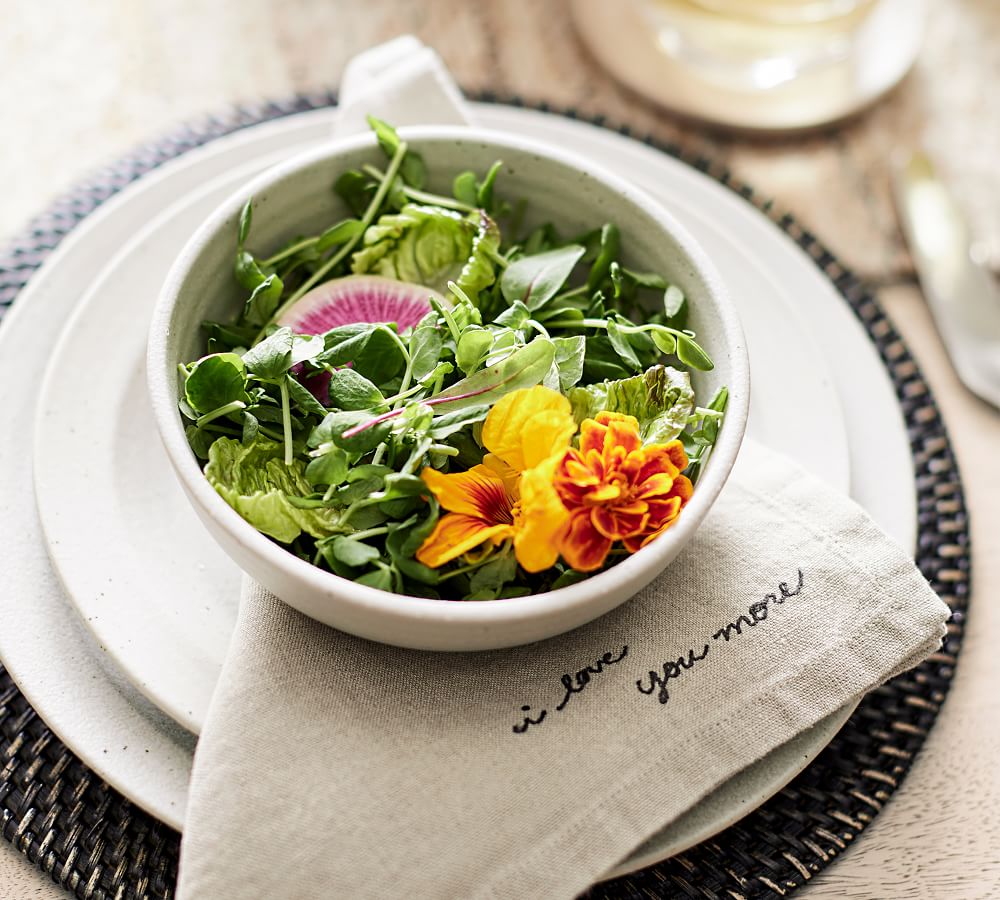 Farmstead Stoneware 16-Piece Dinnerware Set | Pottery Barn