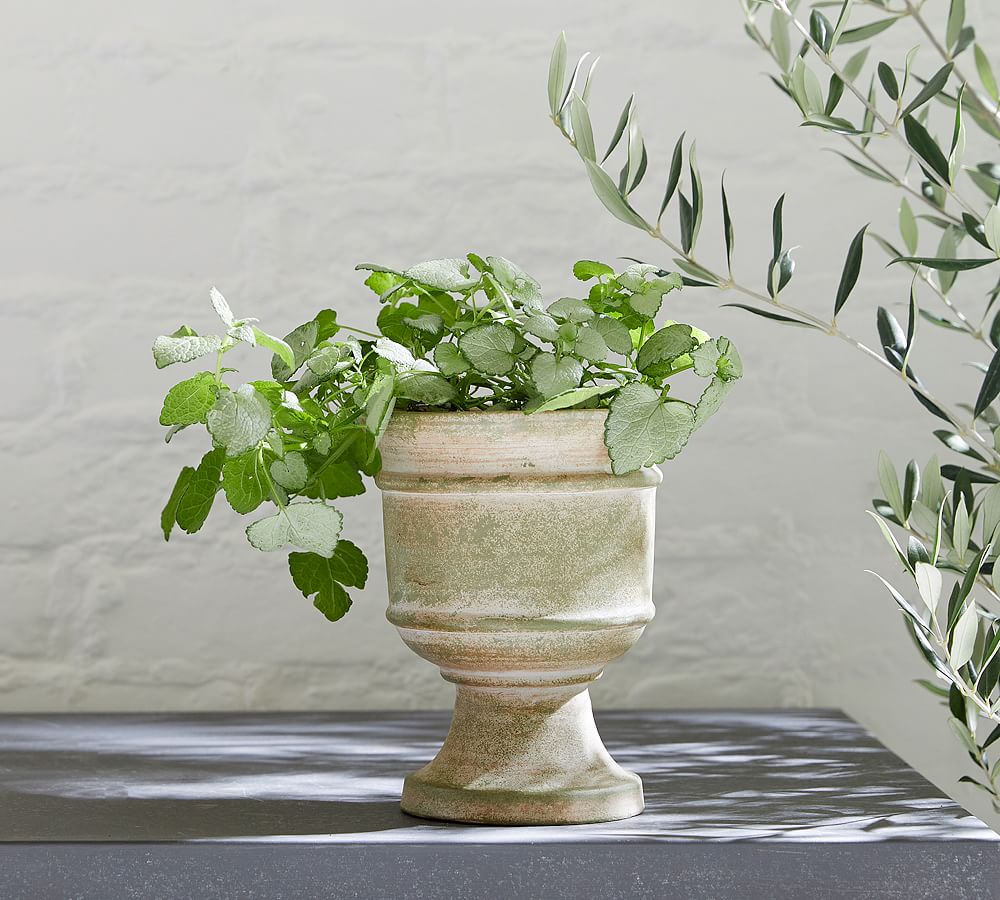 Provence Scalloped Edge Outdoor Planters - Moss | Pottery Barn