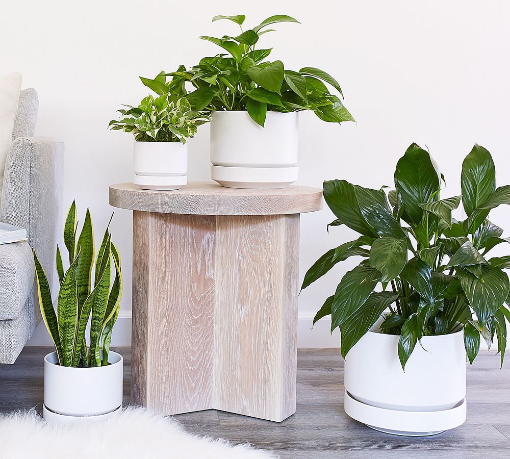 Modern White Ceramic Planter | Pottery Barn