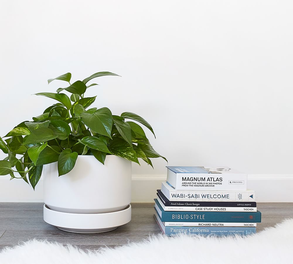 Modern White Ceramic Planter | Pottery Barn