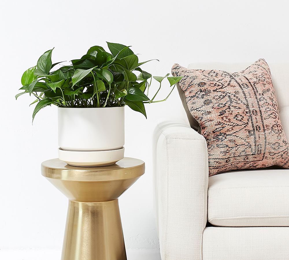 Modern White Ceramic Planter | Pottery Barn