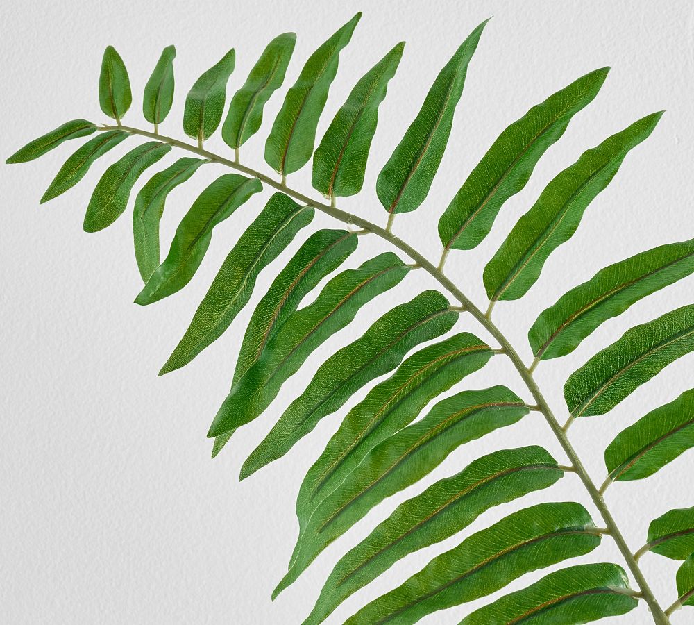 Faux Potted Sword Fern | Pottery Barn
