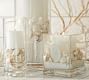 Beach Shell Vase Filler | Pottery Barn